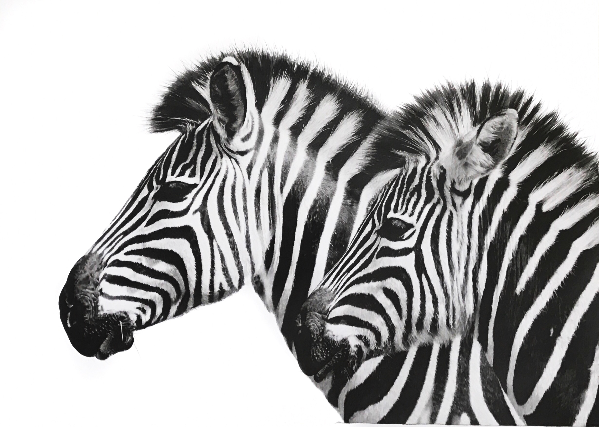 LARGE “Zebra Print”